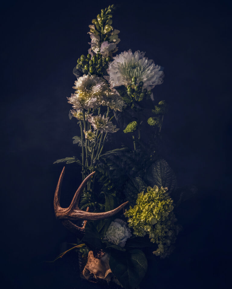 Flowers In The Dark - Jess McAran